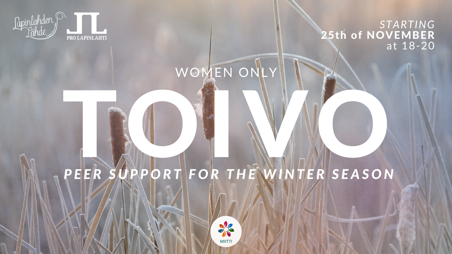 TOIVO - Peer Support for the Winter Season - Lapinlahden Lähde